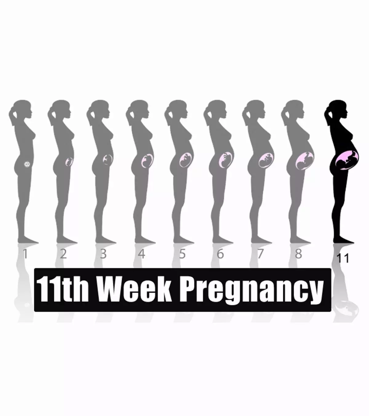 11 Weeks Pregnant: What To Expect For Baby Growth & Symptoms