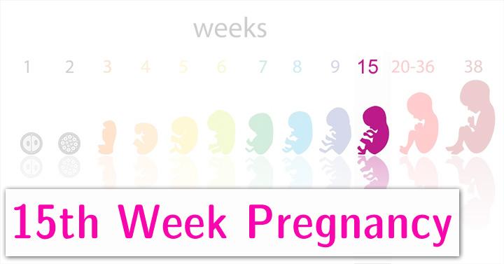 15th Week Pregnancy: Symptoms, Baby Development And Body Changes