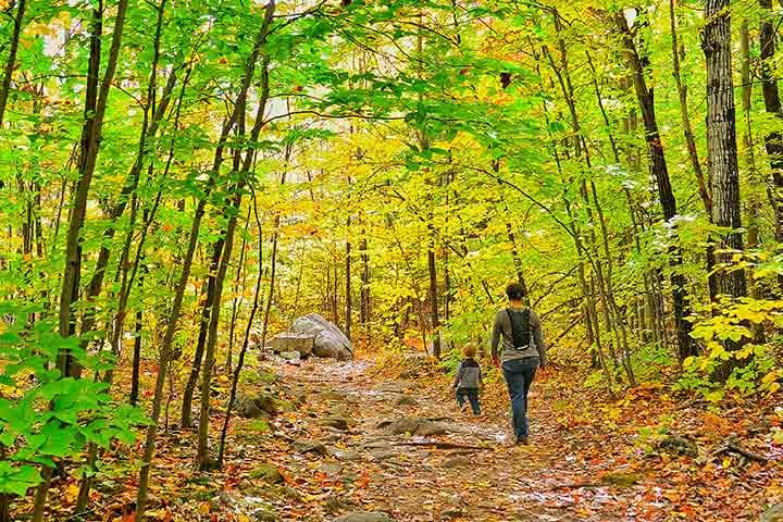 25 Fun Loving Outdoor Activities And Games For Toddlers