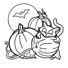 Top 25 Scary Halloween Cat Coloring Pages For Toddlers