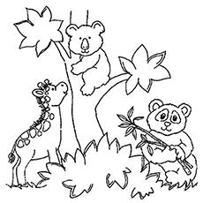 25 Interesting Zoo Animals Coloring Pages For Your Little Ones