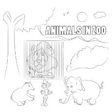 25 Interesting Zoo Animals Coloring Pages For Your Little Ones