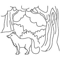 Top 25 Free Printable Fox Coloring Pages For Toddlers