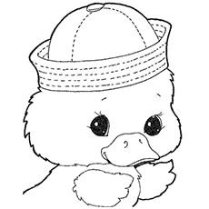 Top 20 Free Printable Duck Coloring Pages Online