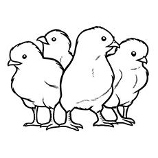 Top 10 Free Printable Cute Chicks Coloring Pages Online