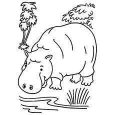 Top 10 Jungle Animals Coloring Pages For Your Naughty Kid