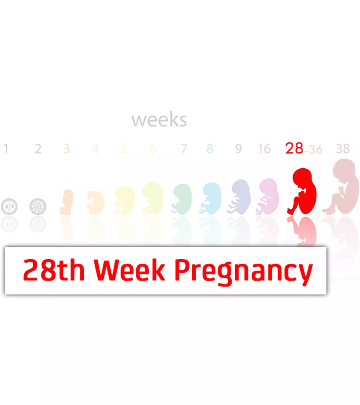 28 Weeks Pregnant: 11 Essential Tips For Third Trimester