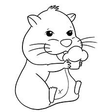 Top 25 Free printable Hamster Coloring Pages For Preschoolers