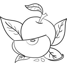 Top 30 Apple Coloring Pages For Your Little Ones - Kiến Thức Cho Người ...