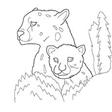 25 Best Cheetah Coloring Pages For Your Little Ones