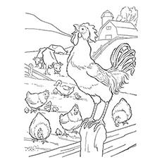 Top 10 Rooster Coloring Pages Your Toddler Will Love To Color