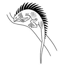 Top 10 Lizard Coloring Pages For Your Little Ones