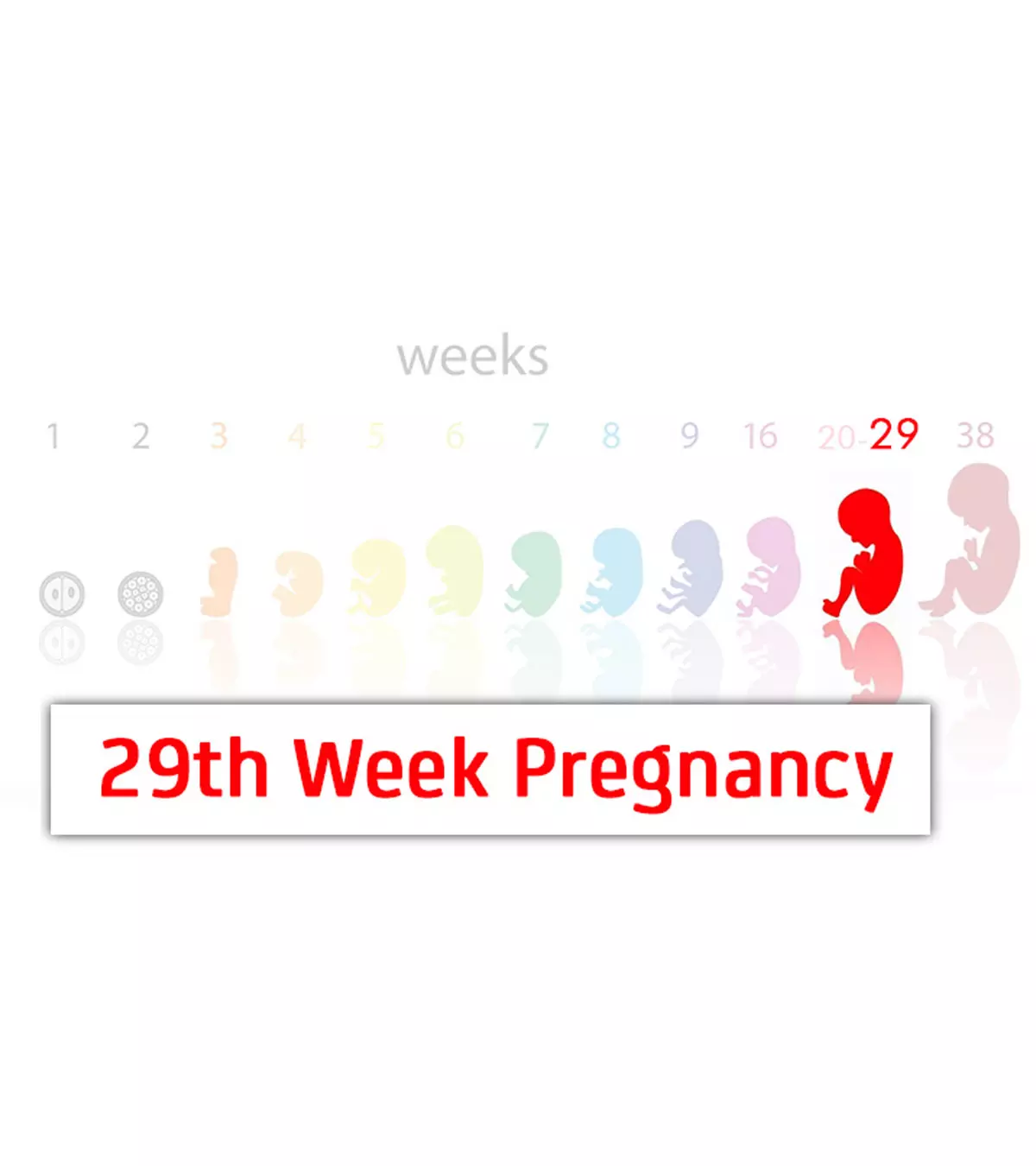 29 Weeks Pregnant: Symptoms, Body Changes & Baby Development