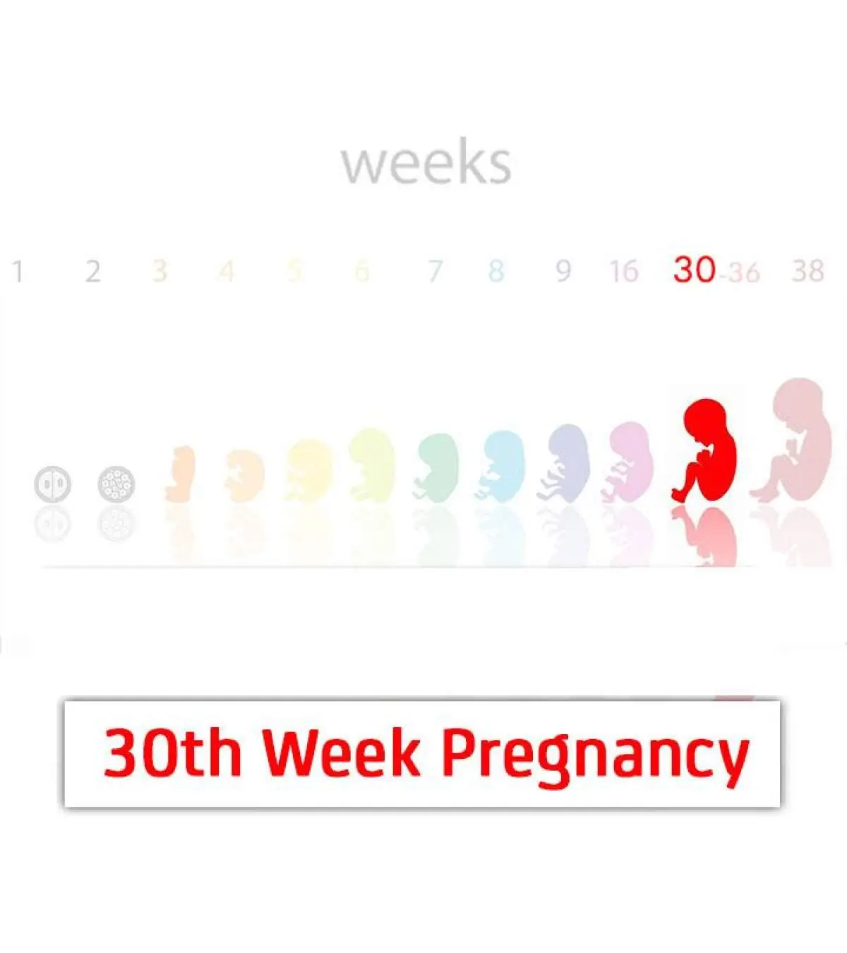 30 Weeks Pregnant: Key Insights For Your Third Trimester