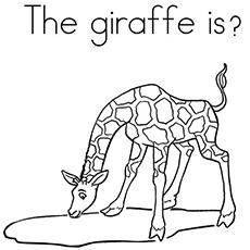 Top 20 Free Printable Giraffe Coloring Pages For Your Toddlers