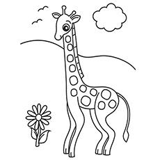 Top 20 Free Printable Giraffe Coloring Pages For Your Toddlers