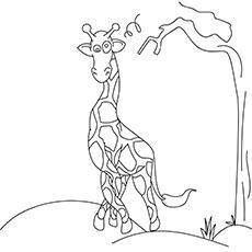 Top 20 Free Printable Giraffe Coloring Pages For Your Toddlers
