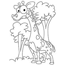 Top 20 Free Printable Giraffe Coloring Pages For Your Toddlers