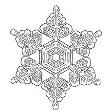 Top 20 Snowflake Coloring Pages For Your Little Ones