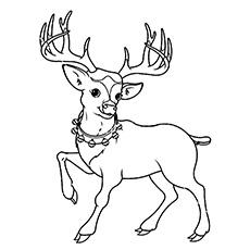 Top 20 Reindeer Coloring Pages For Your Little Ones