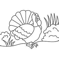 Top 25 Thanksgiving Coloring Pages For Your Toddlers