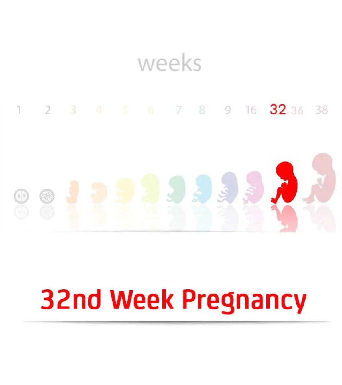 32 Weeks Pregnant: Symptoms, Baby Development And Changes