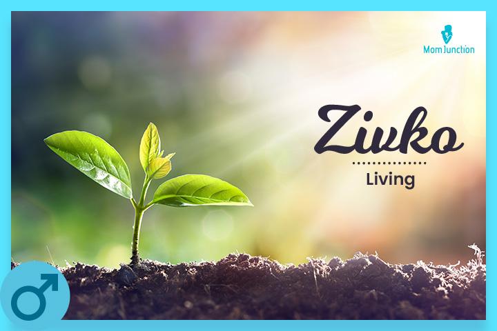 Top 20 Popular Serbian Baby Names For Boys And Girls