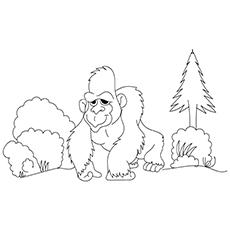 10 Cute Free Printable Gorilla Coloring Pages Online