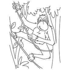 10 Free Printable Chimpanzee Coloring Pages For Little Ones