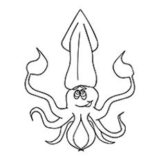 Top 10 Free Printable Squid Coloring Pages For Toddlers