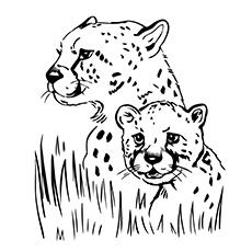 10 Best Jaguar Coloring Pages For Little Ones