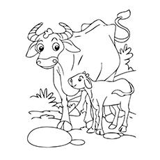 Top 10 Buffalo Coloring Pages For Your Little Ones