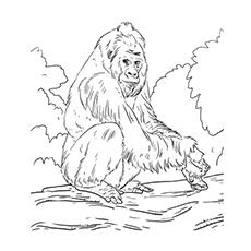 10 Cute Free Printable Gorilla Coloring Pages Online