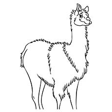 10 Cute Free Printable Llama Coloring Pages For Preschoolers