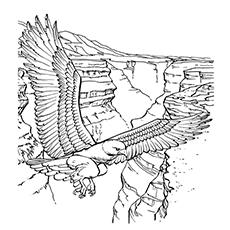 20 Cute Eagle Coloring Pages For Your Little Ones