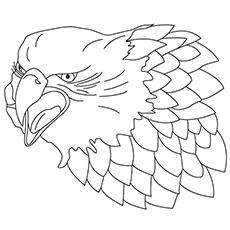 10 Printable Falcon Coloring Pages For Toddlers