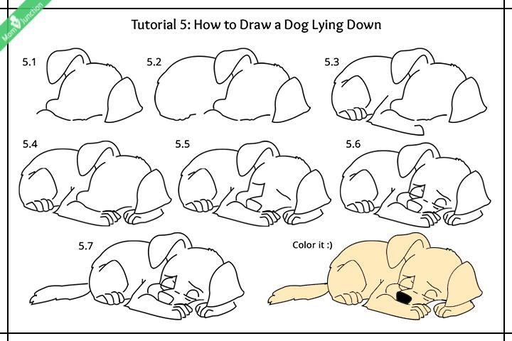 How To Draw A Dog Step By Step For Kids