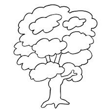 Top 25 Tree Coloring Pages For Your Little Ones