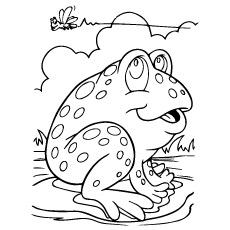 25 Delightful Frog Coloring Pages For Your Little Ones