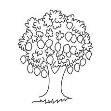 Top 25 Tree Coloring Pages For Your Little Ones