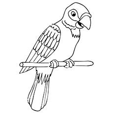 25 Cute Parrot Coloring Pages Your Toddler Will Love To Color
