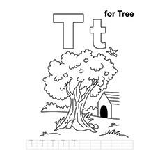 Top 25 Tree Coloring Pages For Your Little Ones