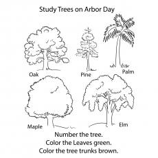 Top 25 Tree Coloring Pages For Your Little Ones