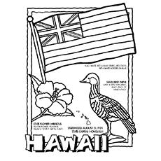 Top 10 Hawaiian Coloring Pages For Toddler
