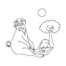 Top 10 Meerkat Coloring Pages