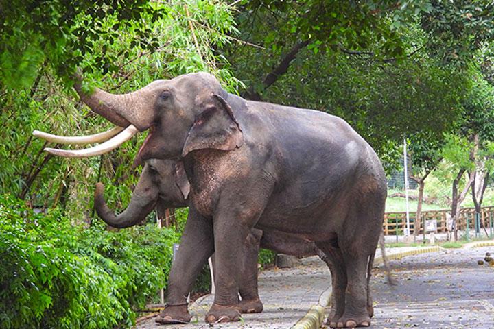 20+ Fun Places To Visit In Delhi With Your Kids