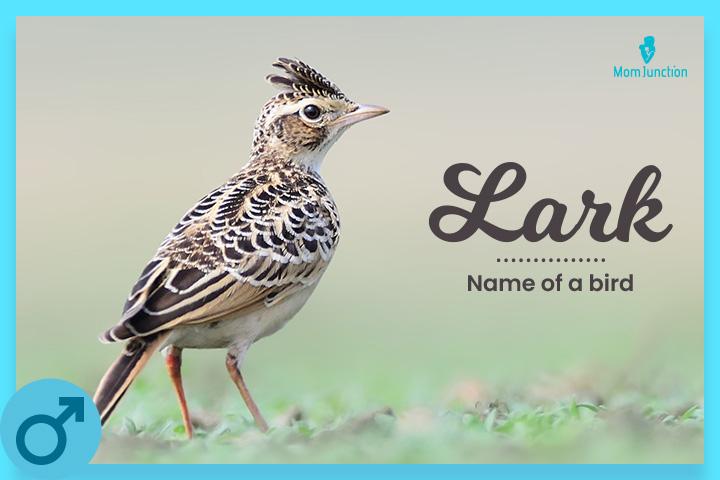 21 Amazing July Baby Names Perfect For Boys And Girls