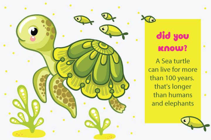 25 Fun Facts About Sea Turtle For Kids 25-fun-facts-about-sea-turtle-for-kids