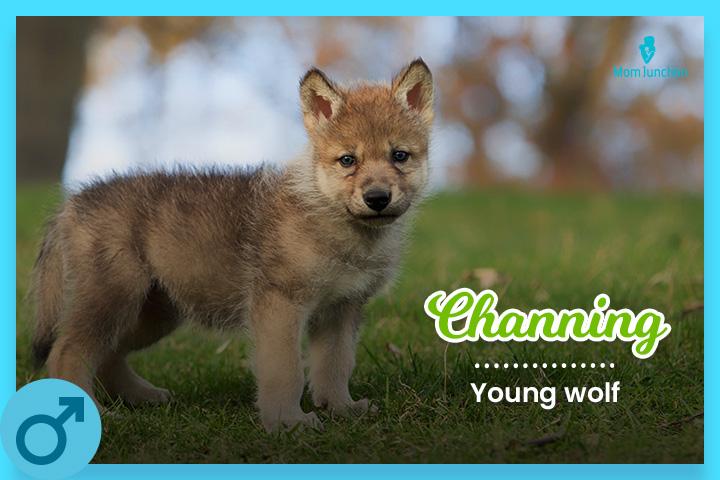 Cool First And Last Names For Boys