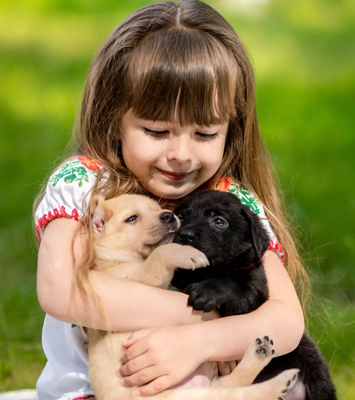 12 Small Pets For Kids And Pros & Cons Of Having Them